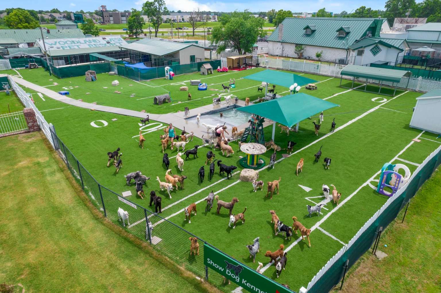 Woodland West Pet Resort Review Best Pet Resort In Tulsa Avenue Dogs