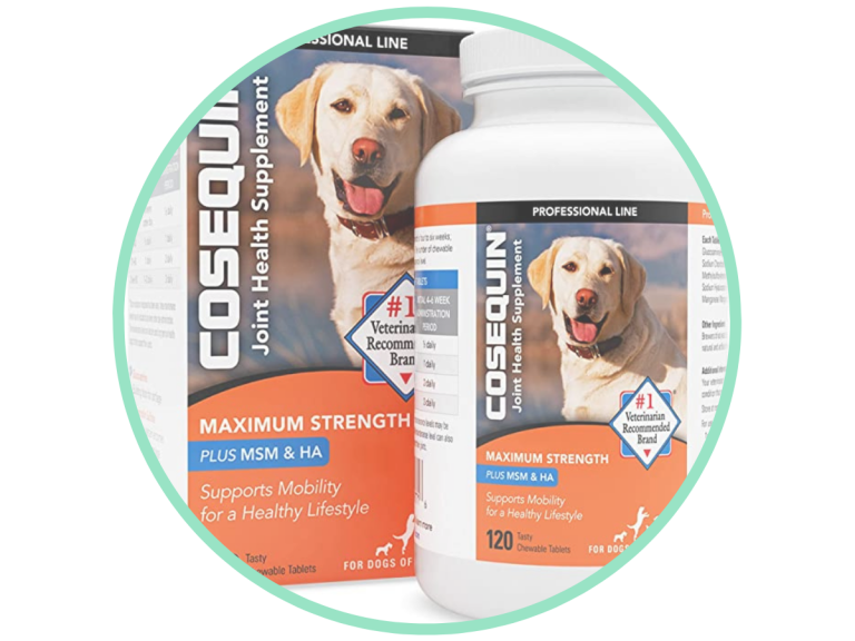 Cosequin for Dogs: Vet-Approved to Optimize Pup Joint Health - Avenue Dogs