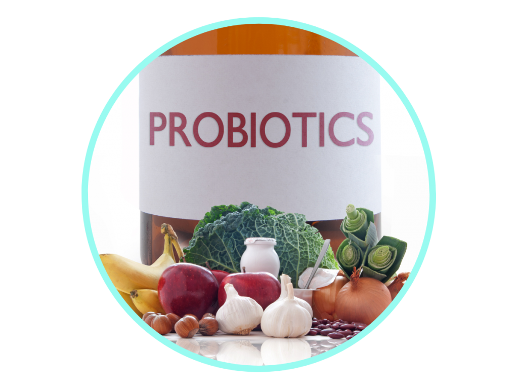 Glandex for Dogs: Vet-Approved for Anal Gland Support - Avenue Dogs