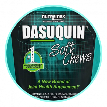 Dasuquin for Dogs: Vet-Approved for Dog Joint Health - Avenue Dogs