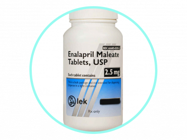Enalapril for Dogs: Vet-Approved for Heart Health & Blood Flow - Avenue ...