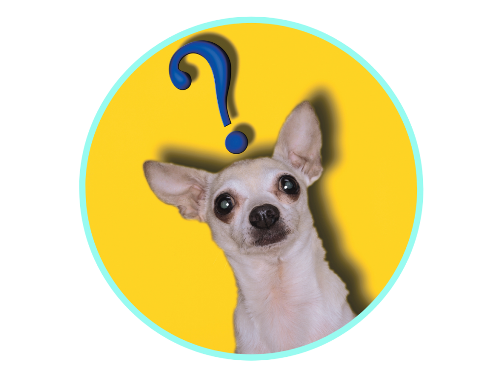 Enalapril for Dogs: Vet-Approved for Heart Health & Blood Flow - Avenue ...