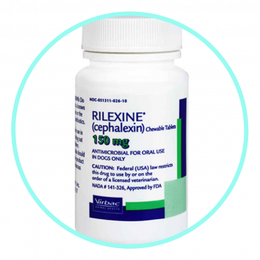 Rilexine for Dogs: Vet-Approved for Bacterial Infections in Dogs ...