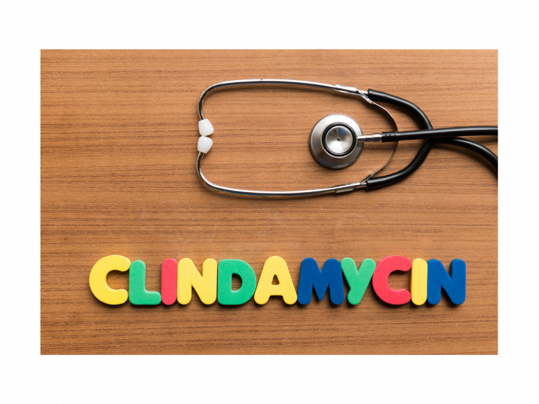 Clindamycin for Dogs: An Antibiotic for Bacterial Infections - Avenue Dogs