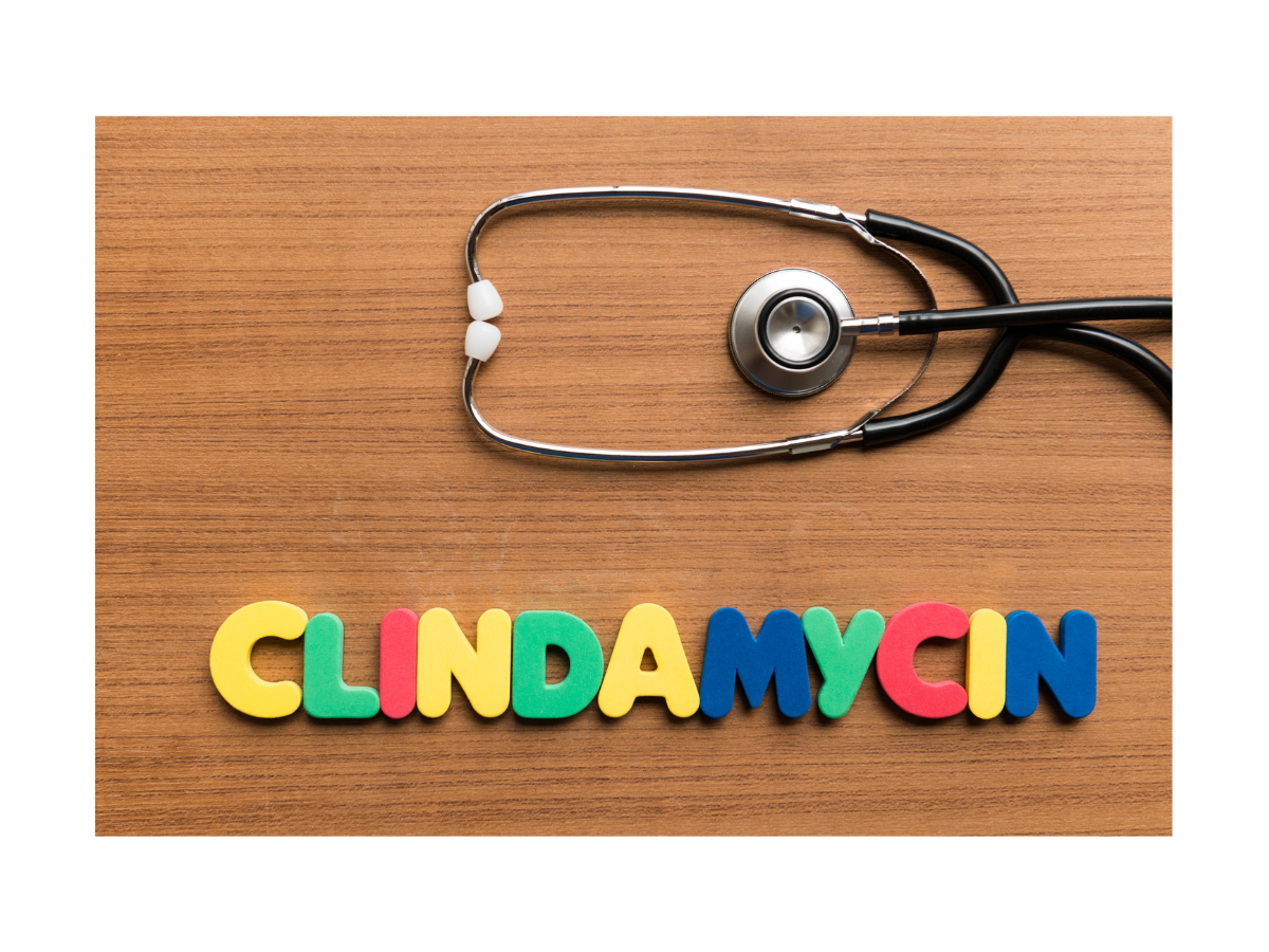 Clindamycin for Dogs: An Antibiotic for Bacterial Infections - Avenue Dogs